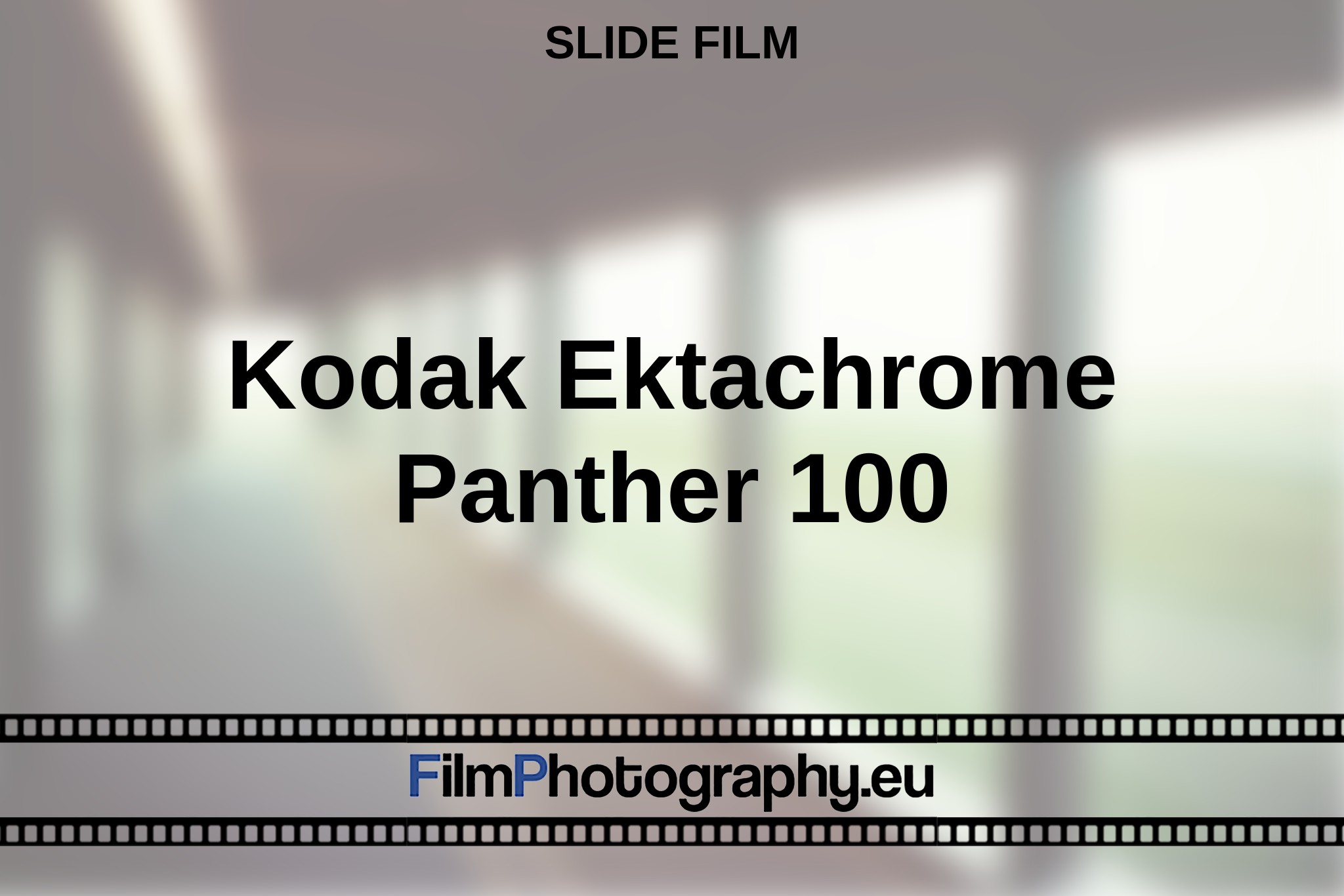 Kodak Ektachrome Dyna EX 100 - Info on the color film