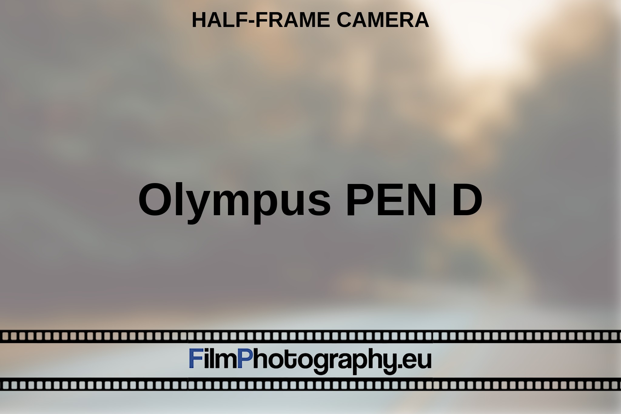 Olympus PEN EES - Functions and history of the photo camera