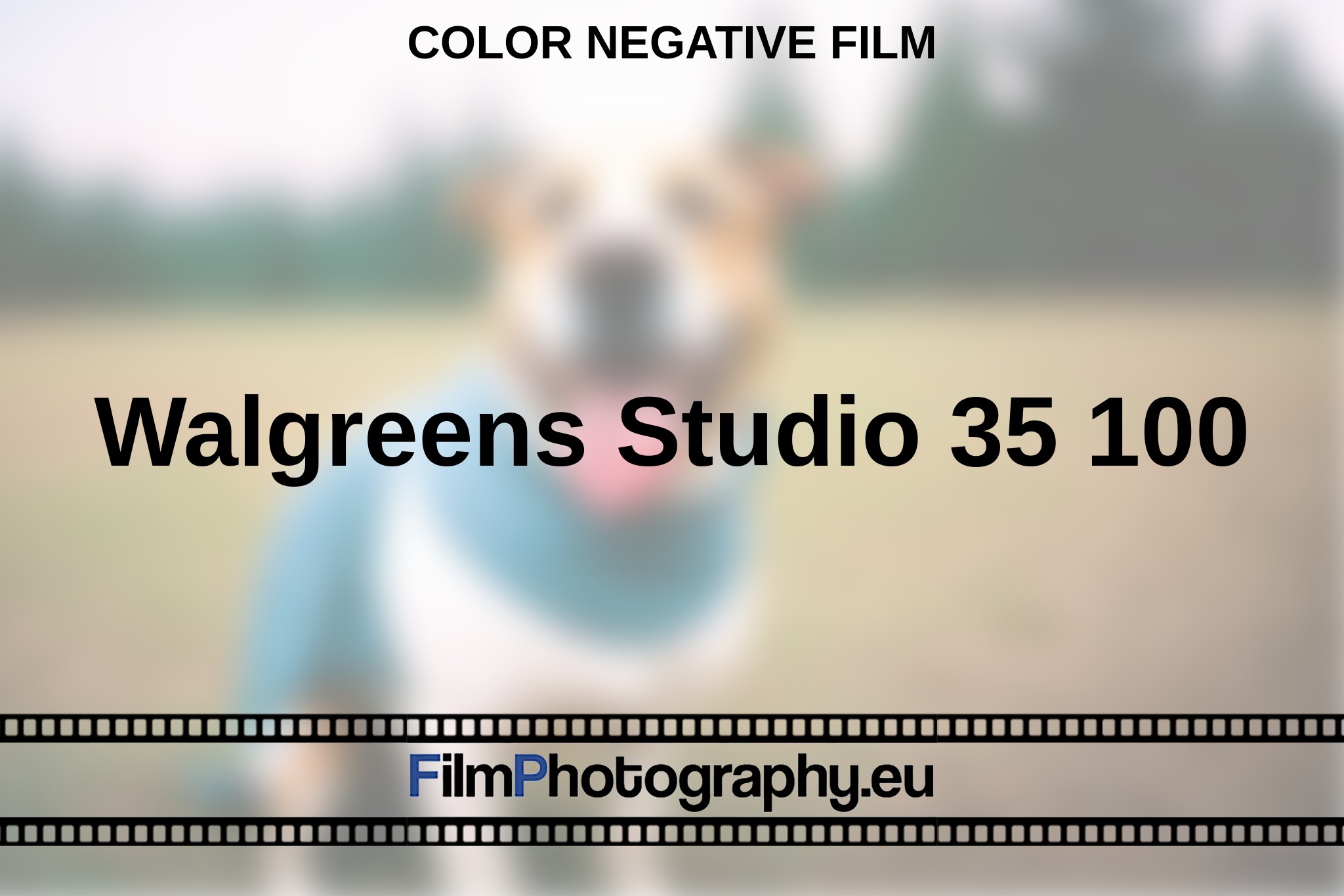 Walgreens W Photo 200 - color film - A Guide
