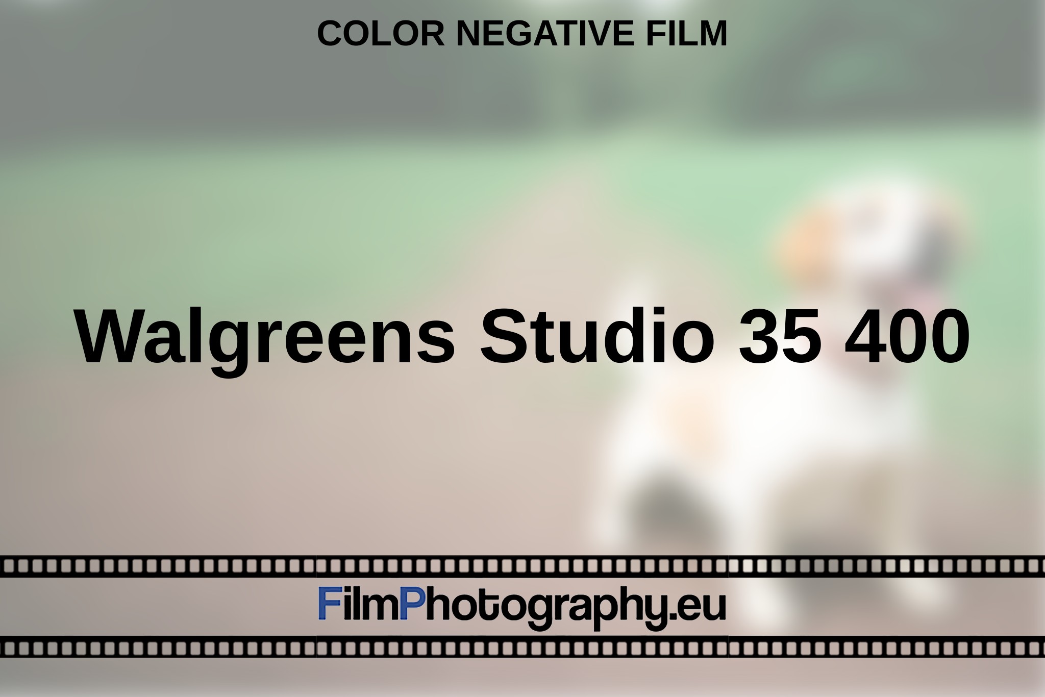 Walgreens W Photo 200 - color film - A Guide