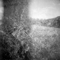 Diana F+ - Everything you need to know about the Lomography camera