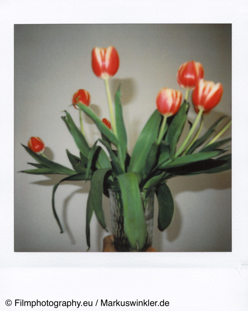 Fujifilm Instax Square Film - Instant film information