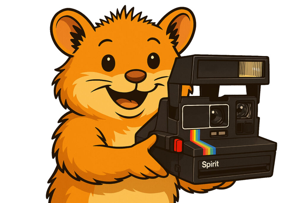 Polaroid Spirit | Features & History