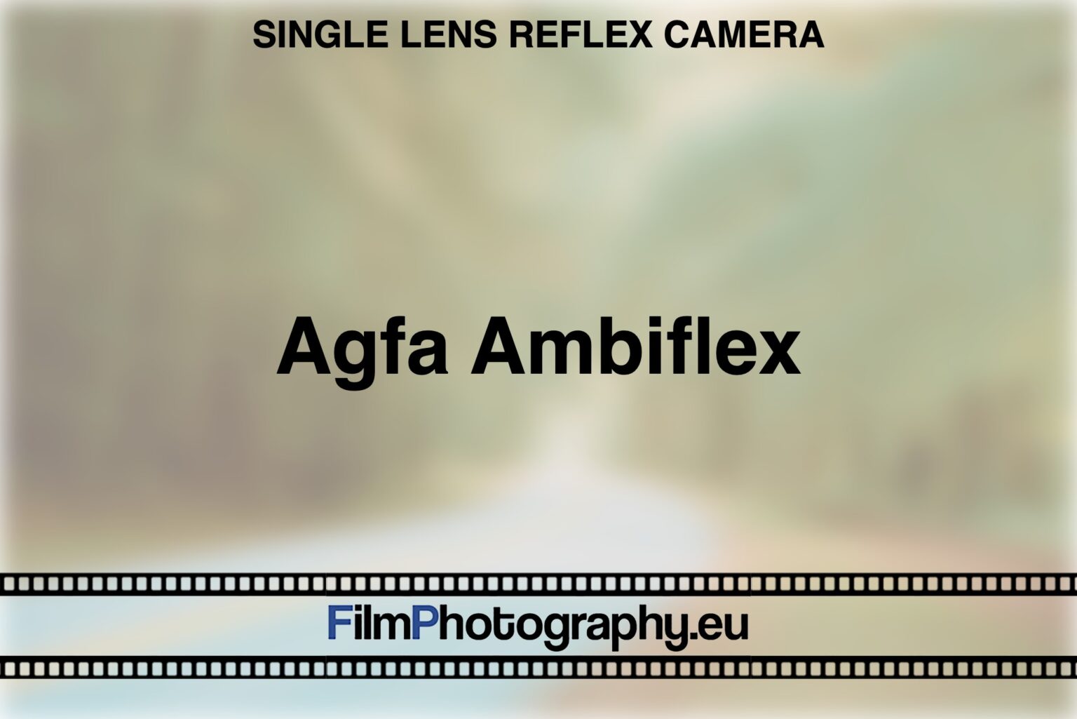 Single lens reflex cameras – Analog cameras overview