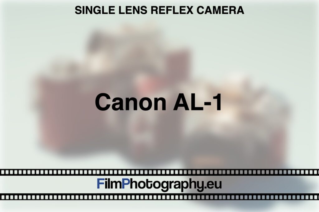 Single lens reflex cameras – Analog cameras overview