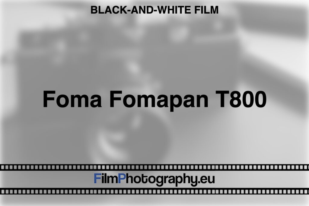Fomapan 100 | Guide for the film