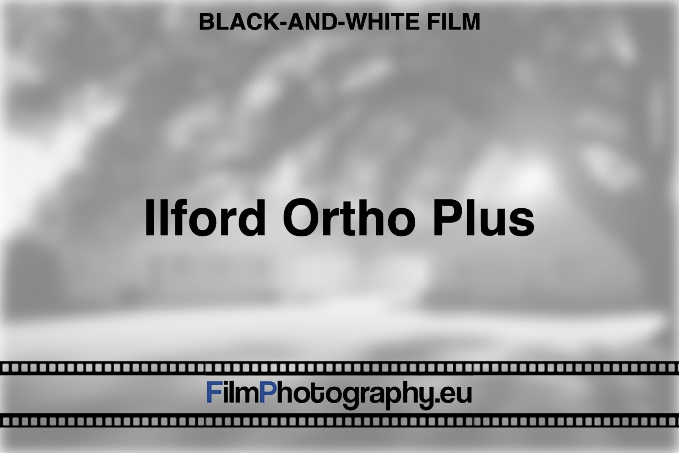 Orthochromatic black and white films [Overview]
