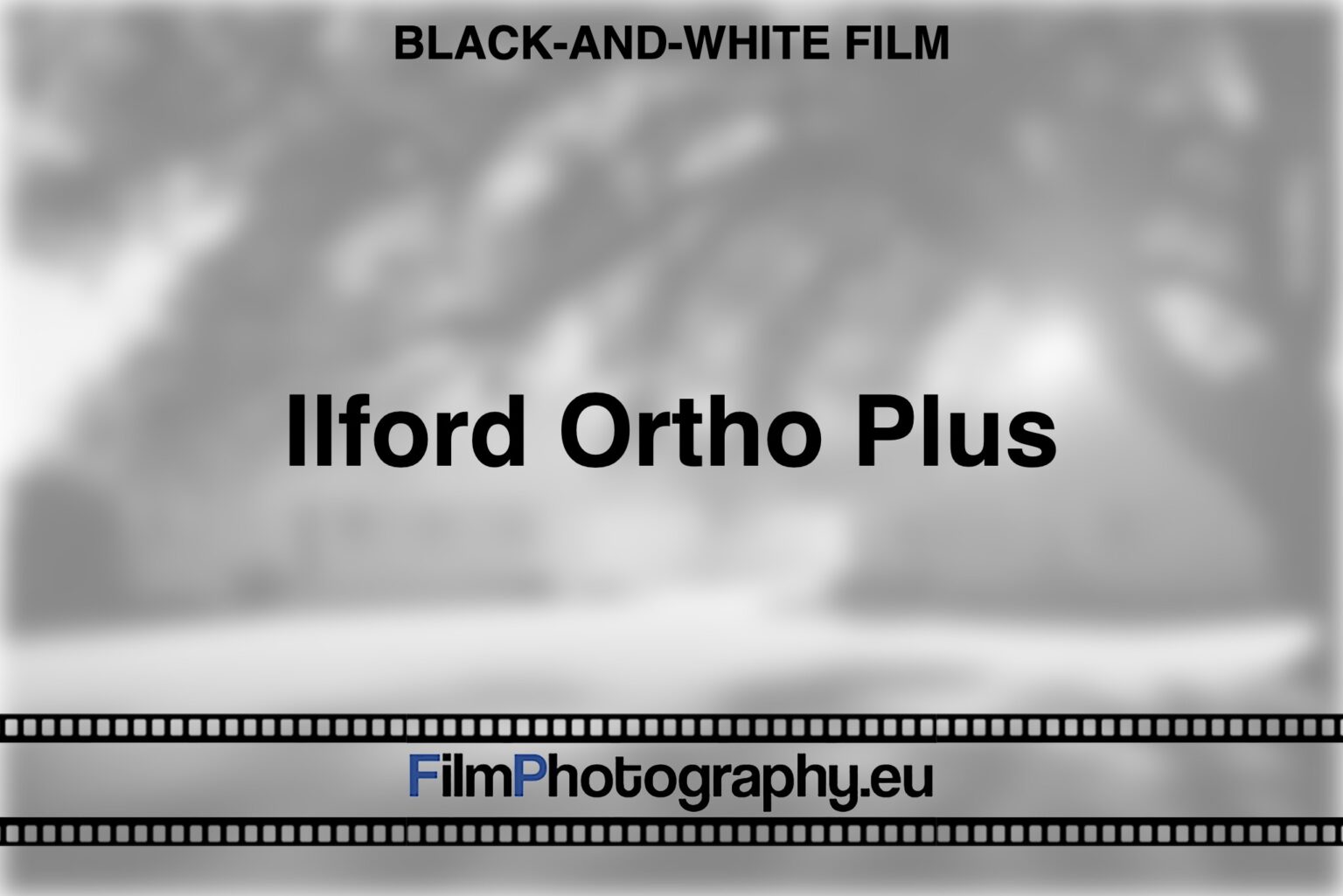 Orthochromatic black and white films [Overview]