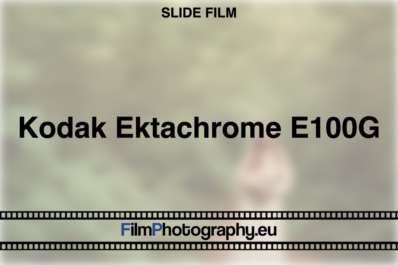 Kodak Ektachrome E100G | Guide for the slide film