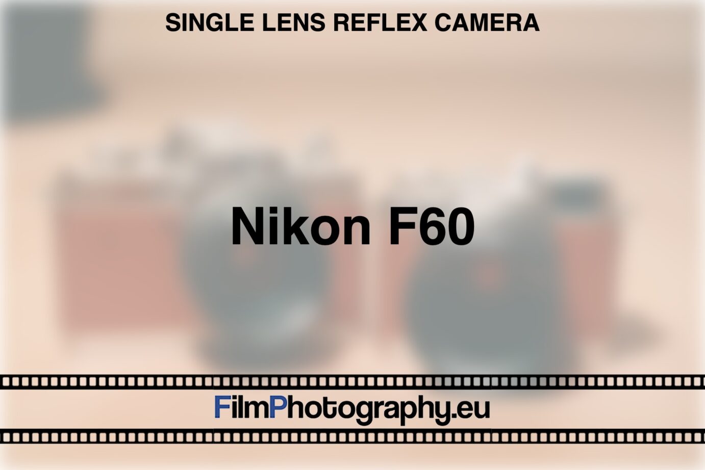 Nikon F50 - Overview of functions, films & batteries for the Nikon SLR