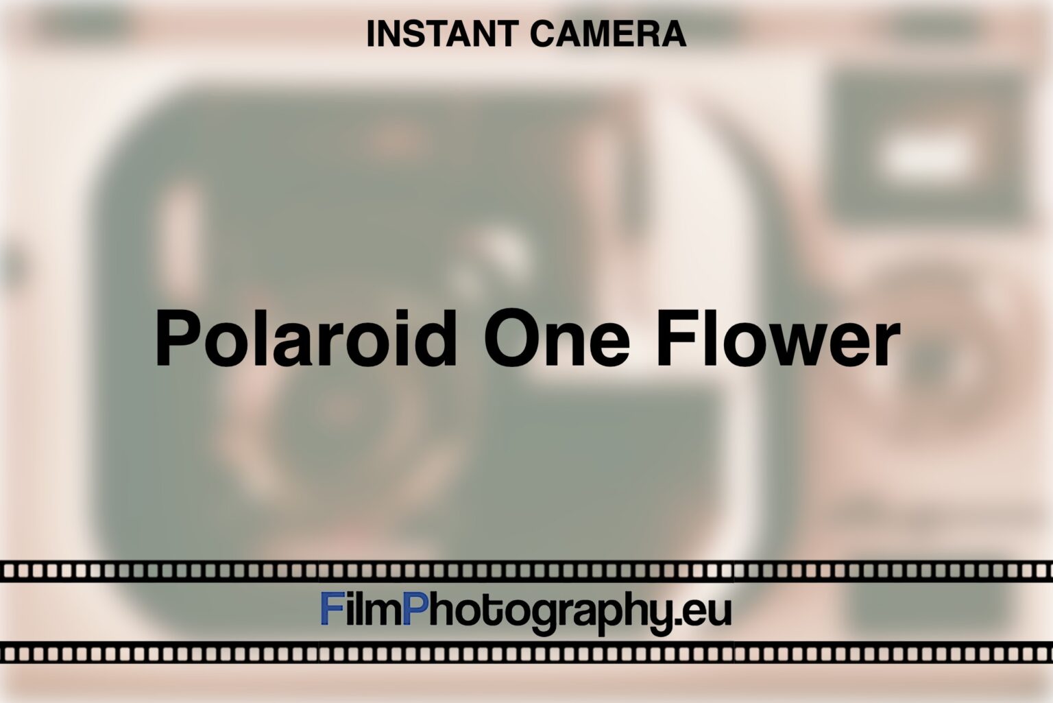 Polaroid One Flower | Functions and history of the photo camera