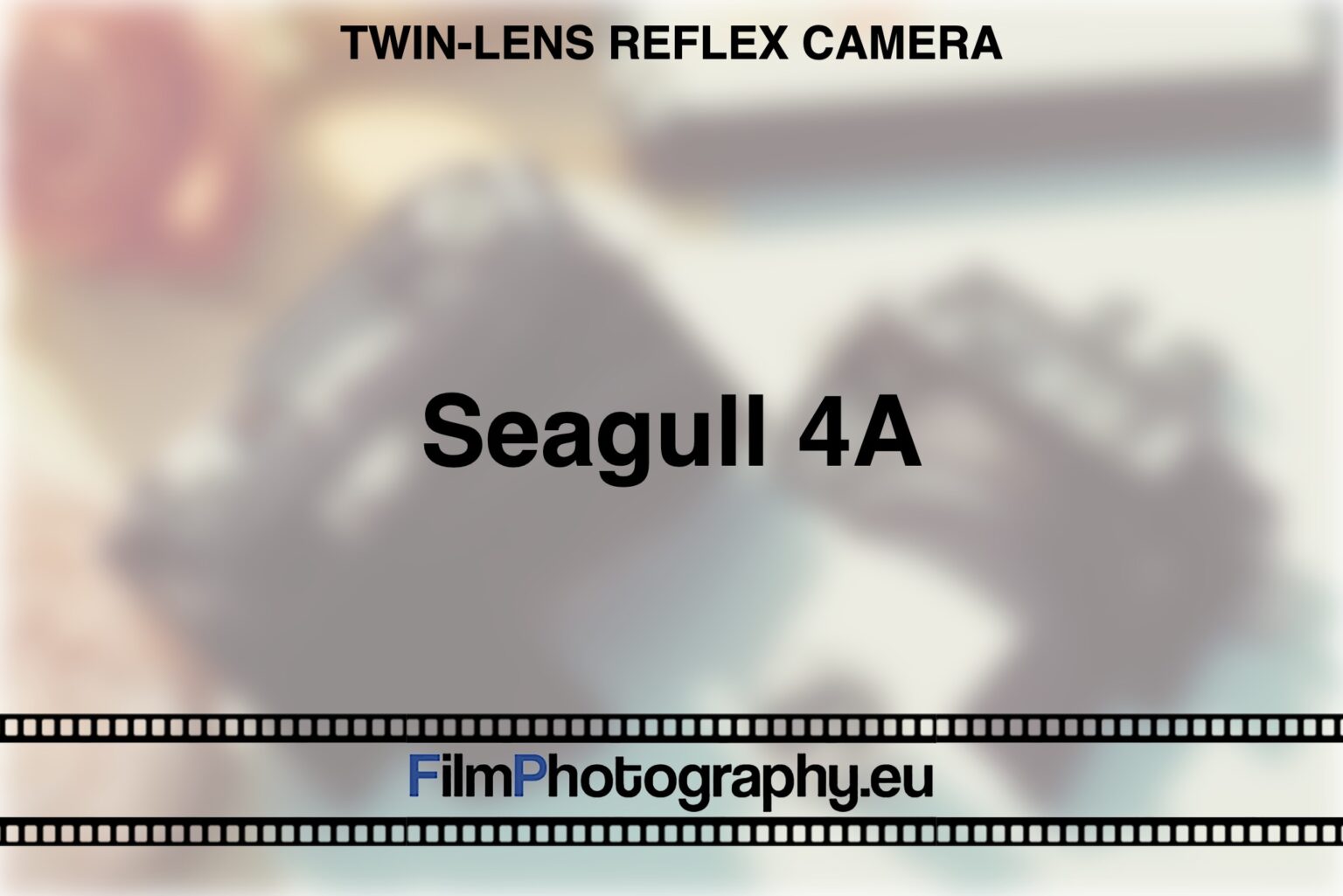 Seagull 4A | Guide for the twin-lens reflex camera