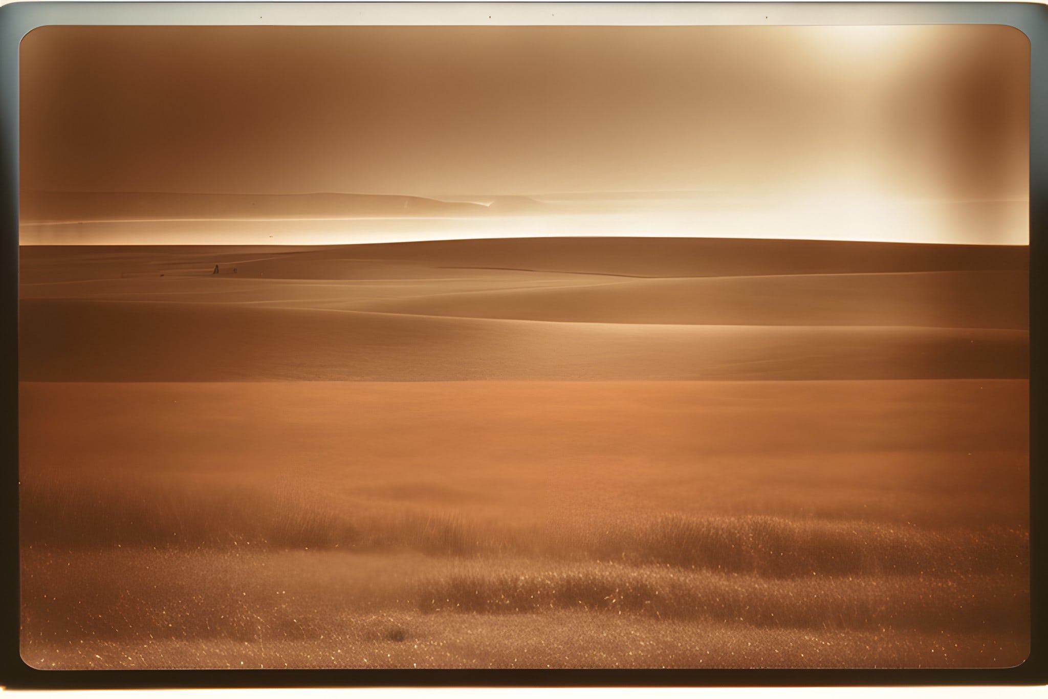 Polaroid Panna | Overview of functions and matching films