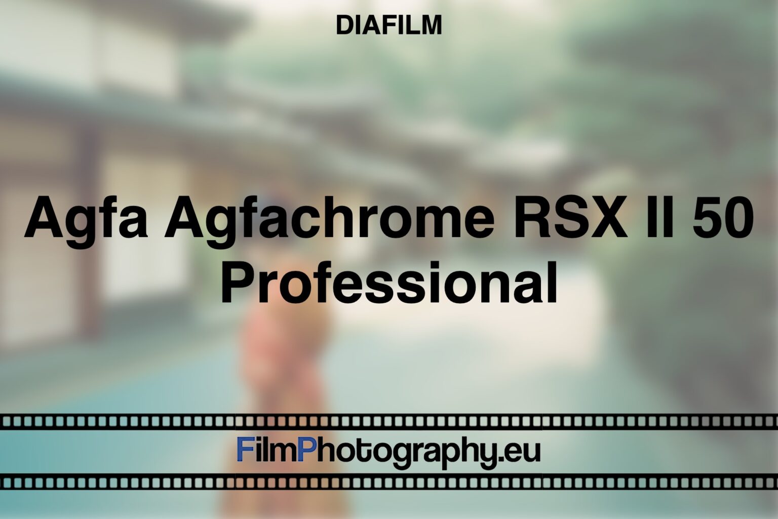 Diafilme | Eine Übersicht über Umkehrfilme für analoge Kameras