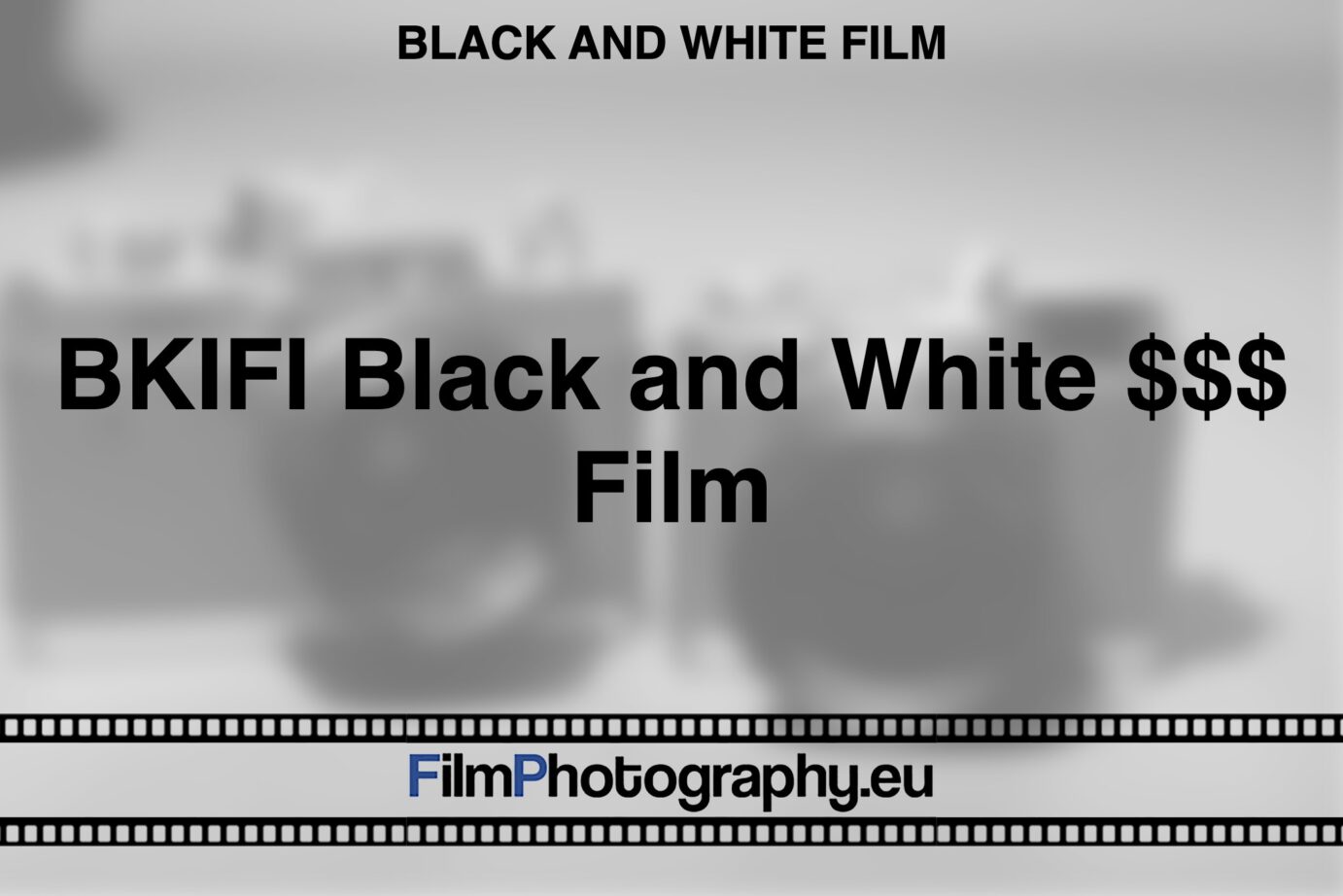Panchromatic black and white films [B/W film overview]