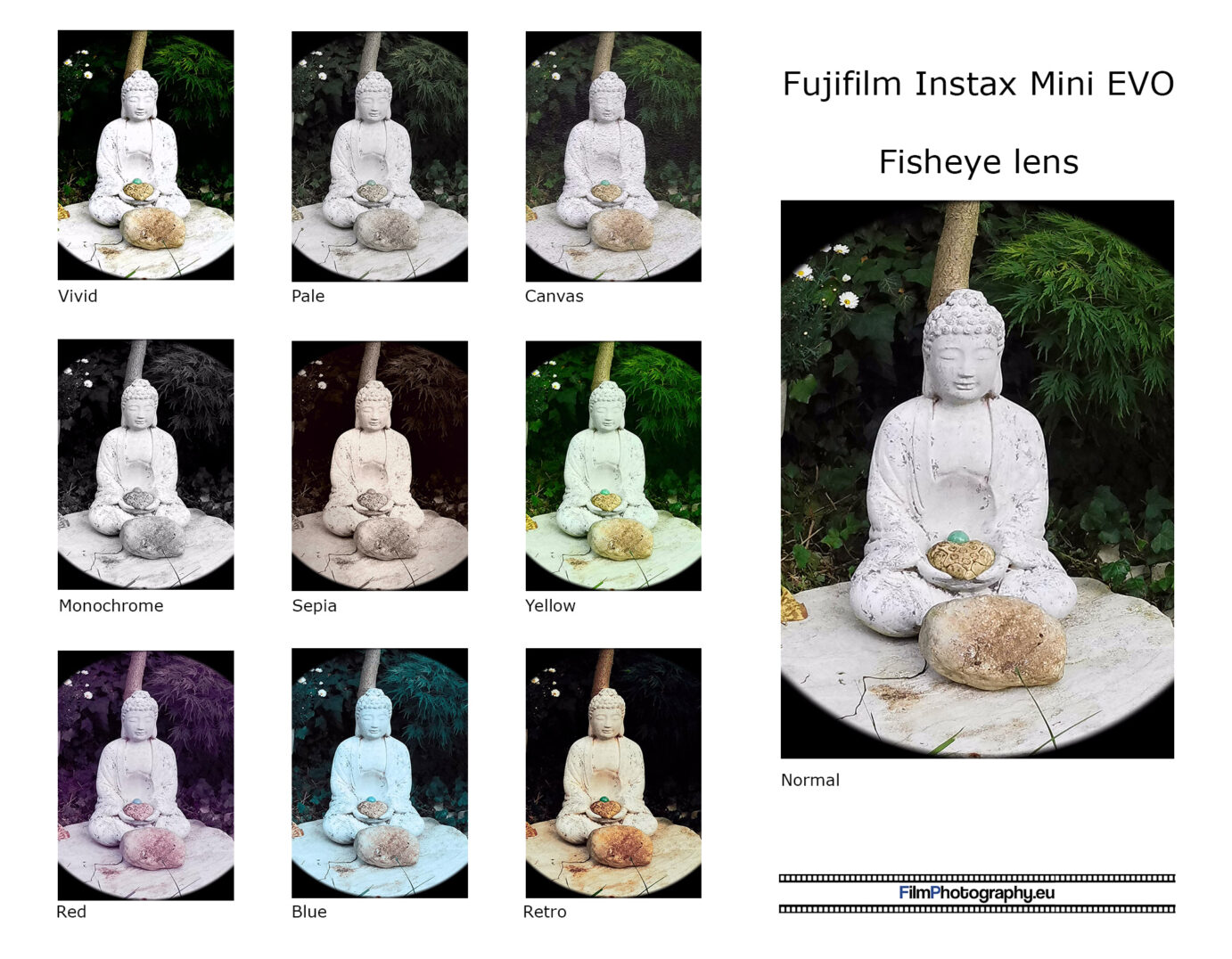 Fujifilm Instax Mini Evo Review - Is the camera worth buying?
