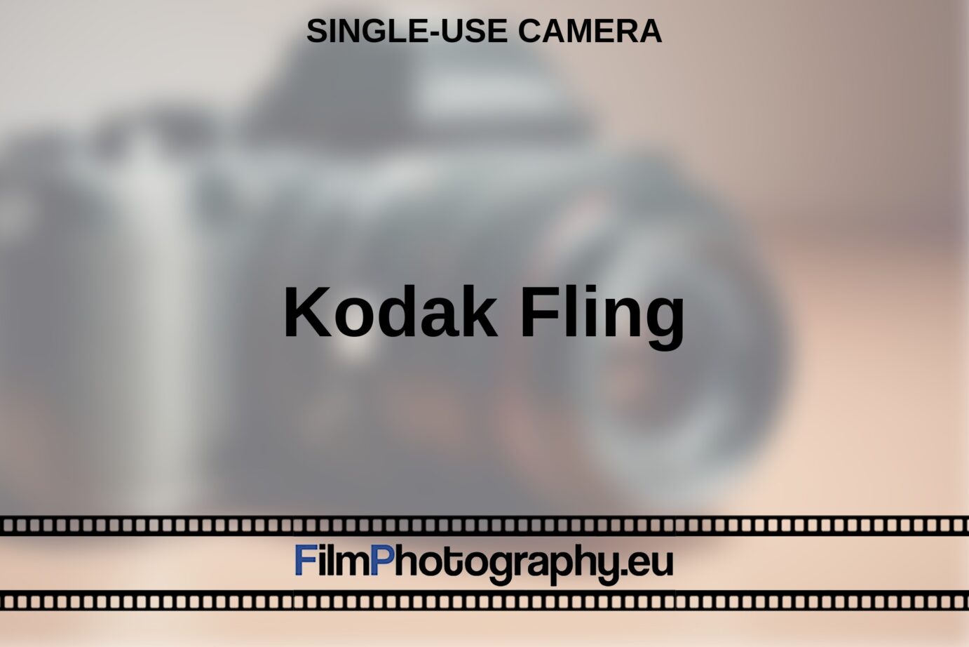 Kodak Fling - Guide for the disposable camera
