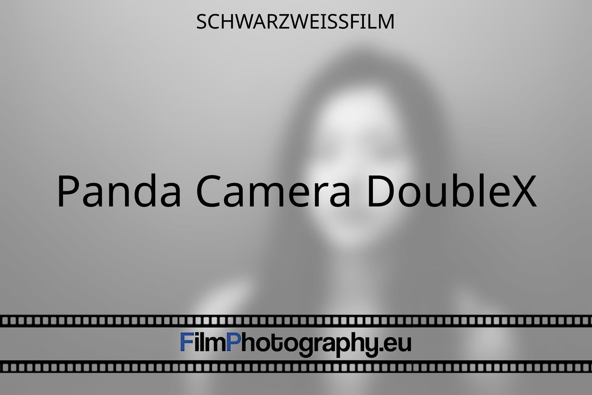 Panda Camera DoubleX - Filmphotography.eu